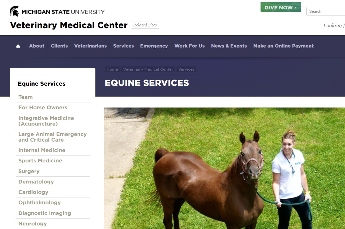 Links – Great Lakes Distance Riding Association